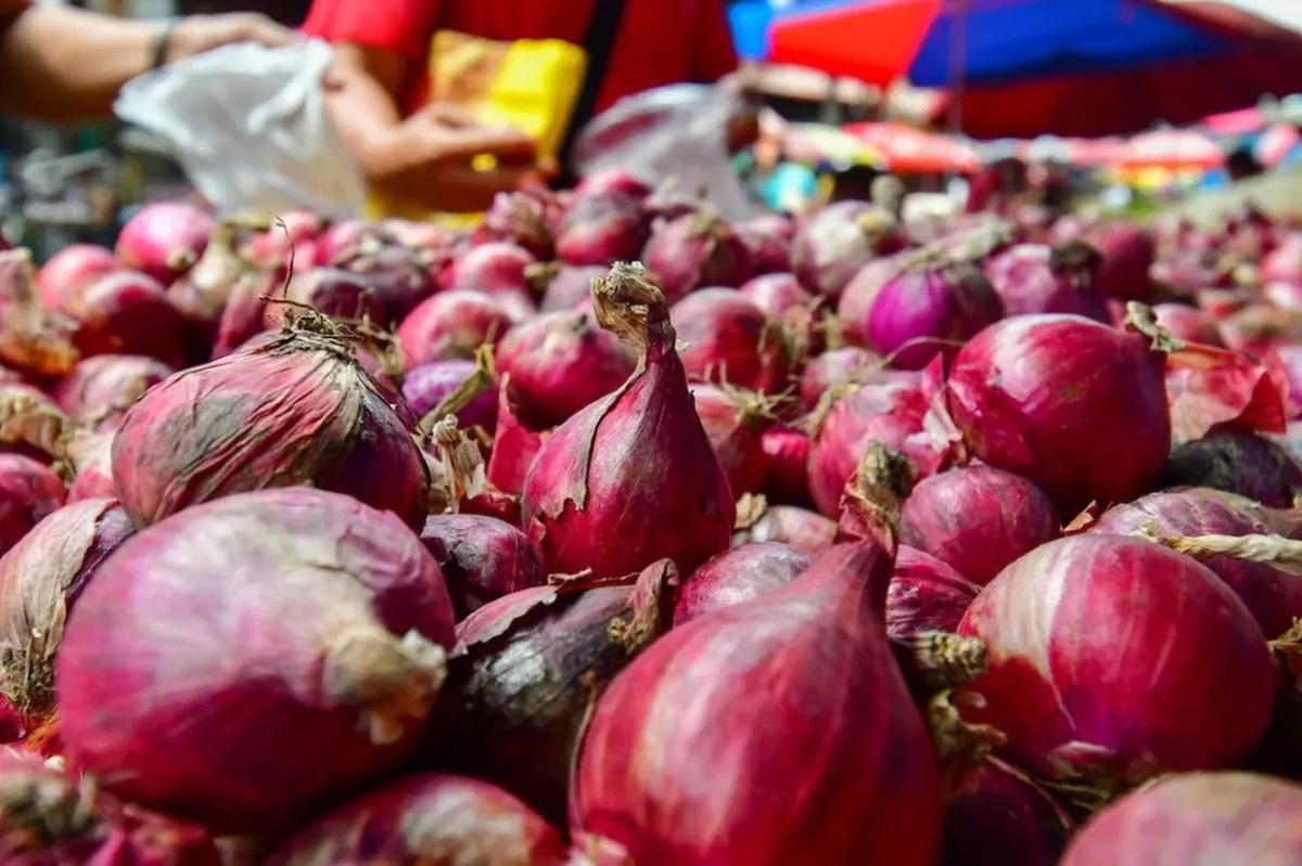 Presyo ng sibuyas sa PH, pinakamahal sa buong mundo: pag-aaral | ABS ...