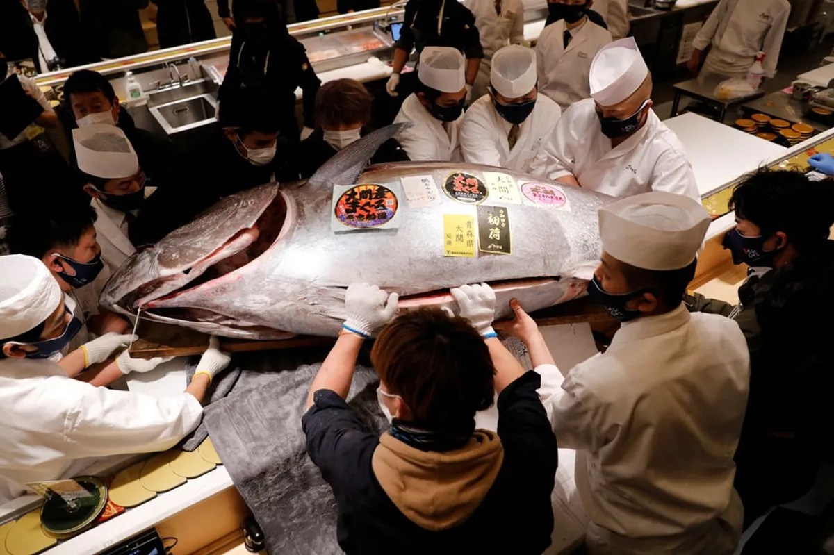 Record-setting price at Tokyo tuna auction | ABS-CBN