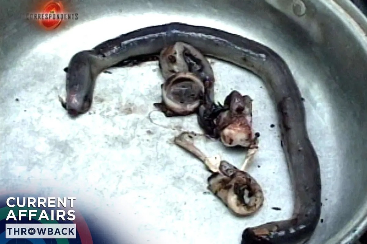 The Correspondents CA Throwback: Naiibang klase ng uod, delicacy sa ...