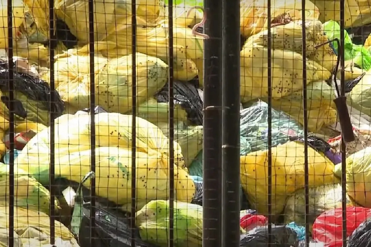 Hazardous wastes sa labas ng ospital sa Lucena inireklamo | ABS-CBN News