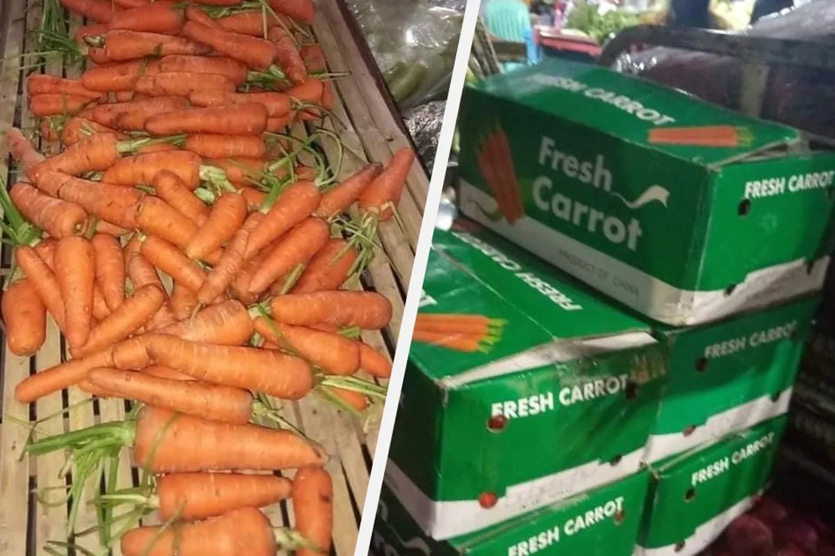Agri department probing alleged vegetable smuggling in PH | ABS-CBN News