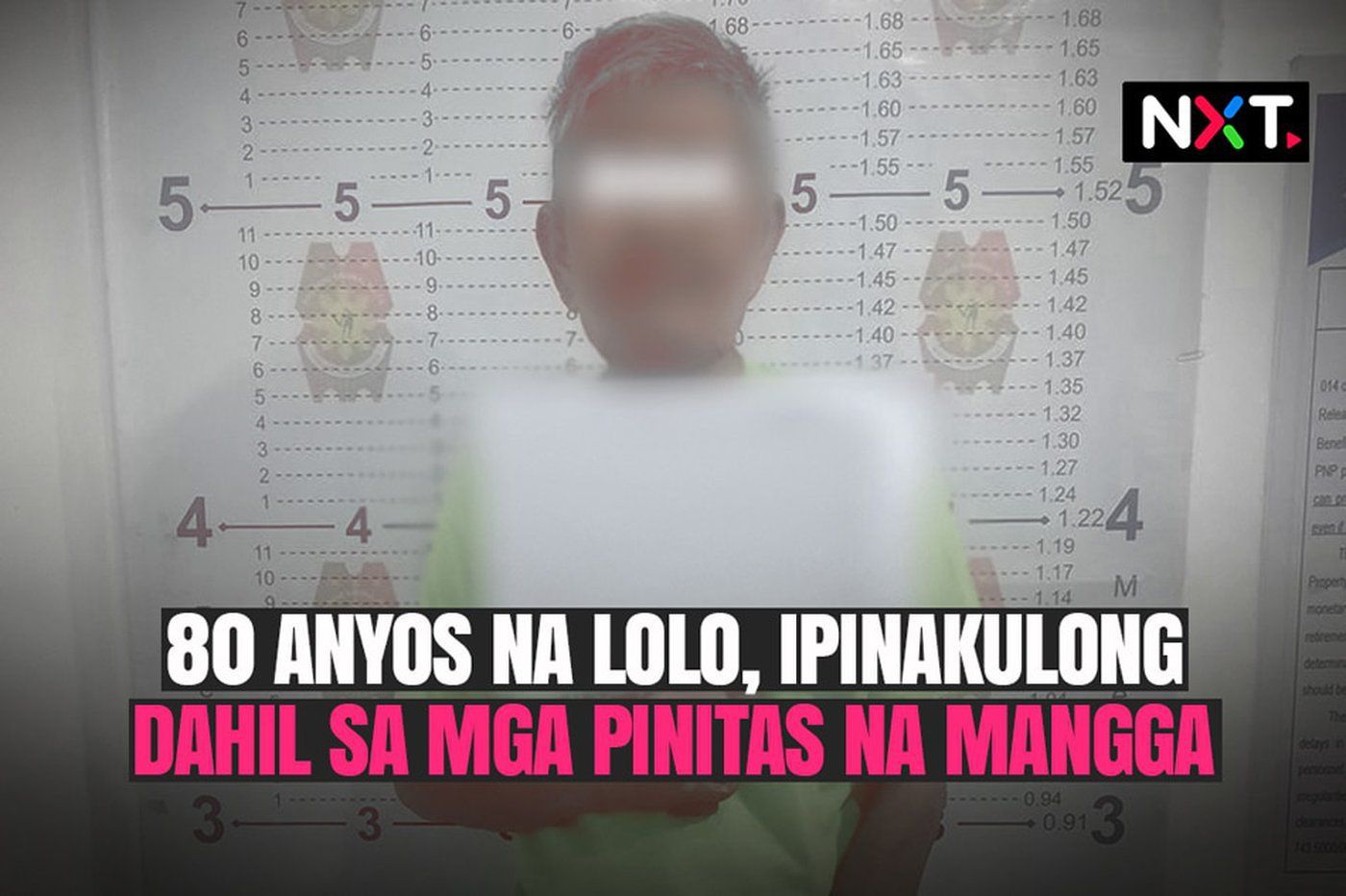80 anyos na lolo, ipinakulong dahil sa mga pinitas na mangga | ABS-CBN News