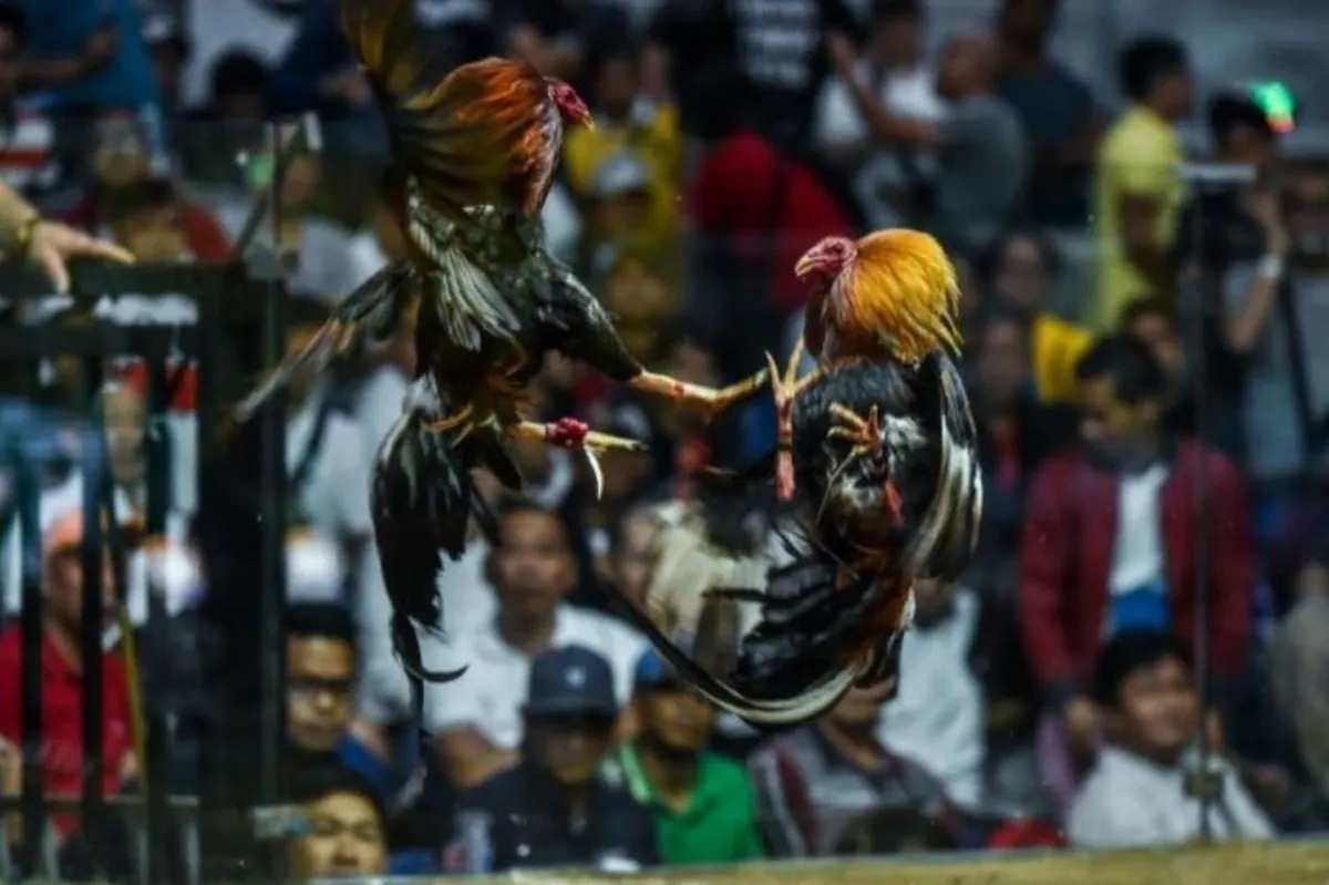2 entries enter World Slasher Cup grand finals | ABS-CBN Sports