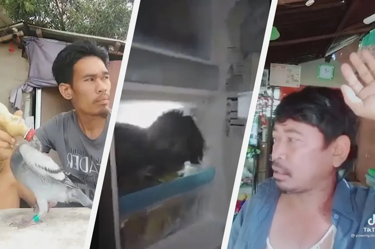 Kwento ni Marc Logan: Matinding init ng panahon, pinagdiskitahan ng ...