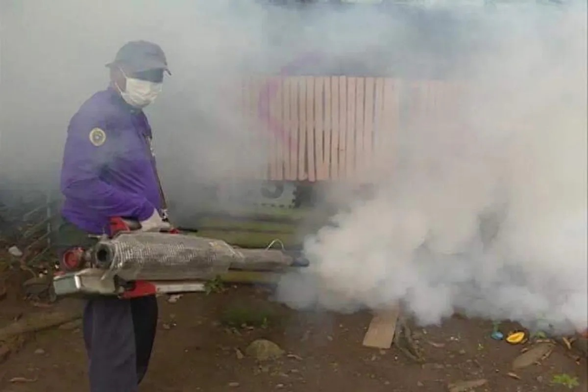 DOH records 6 dengue deaths in Davao region | ABS-CBN News