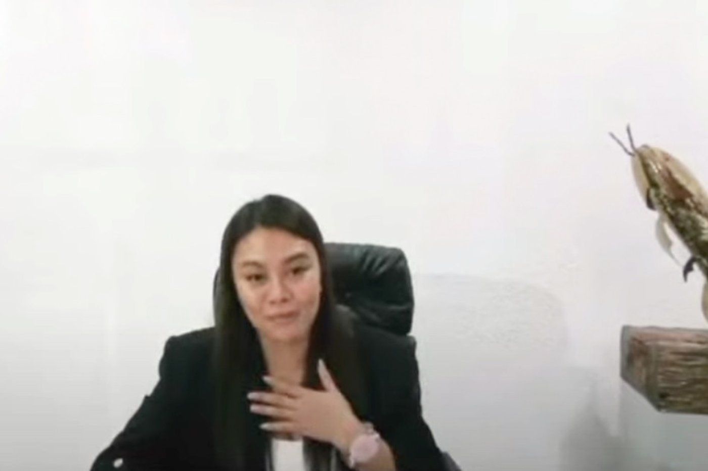 'Legal, bought before pandemic': Rose Nono Lin explains luxury cars ...