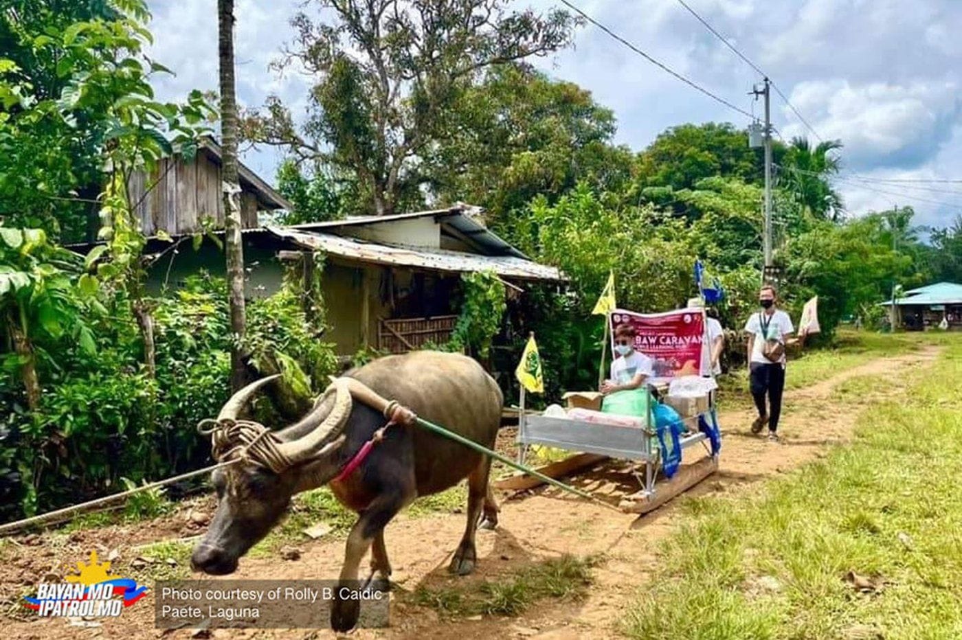 'Kalabaw Caravan' paraan ng mga guro sa Laguna para maabot mga ...