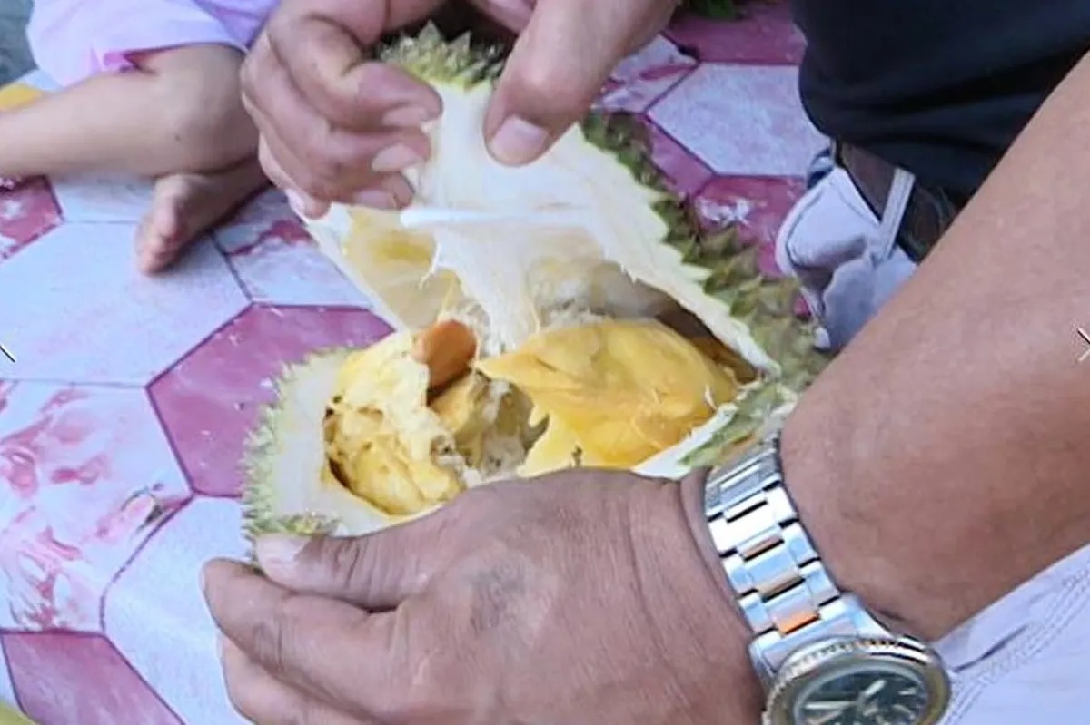 Durian fruit sparks Australia 'gas leak' emergency | ABS-CBN News