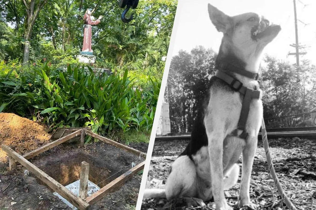 Zamboanga's hero dog 'Kabang' laid to rest | ABS-CBN Lifestyle
