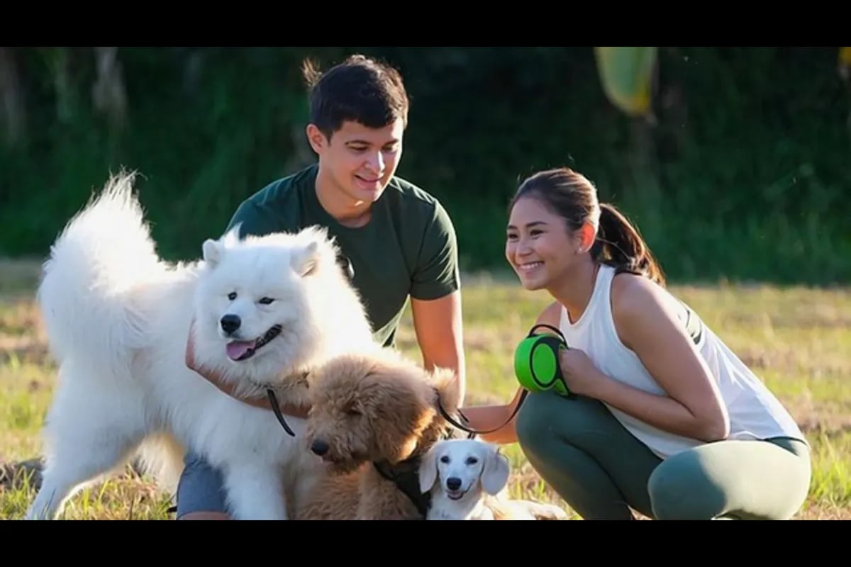 Matteo Guidicelli and Sarah Geronimo celebrate their first wedding ...