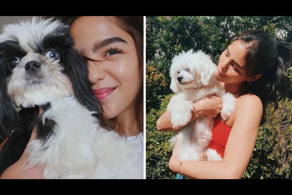 QT TIME: Celebrities bond with their pets at home | ABS-CBN Entertainment