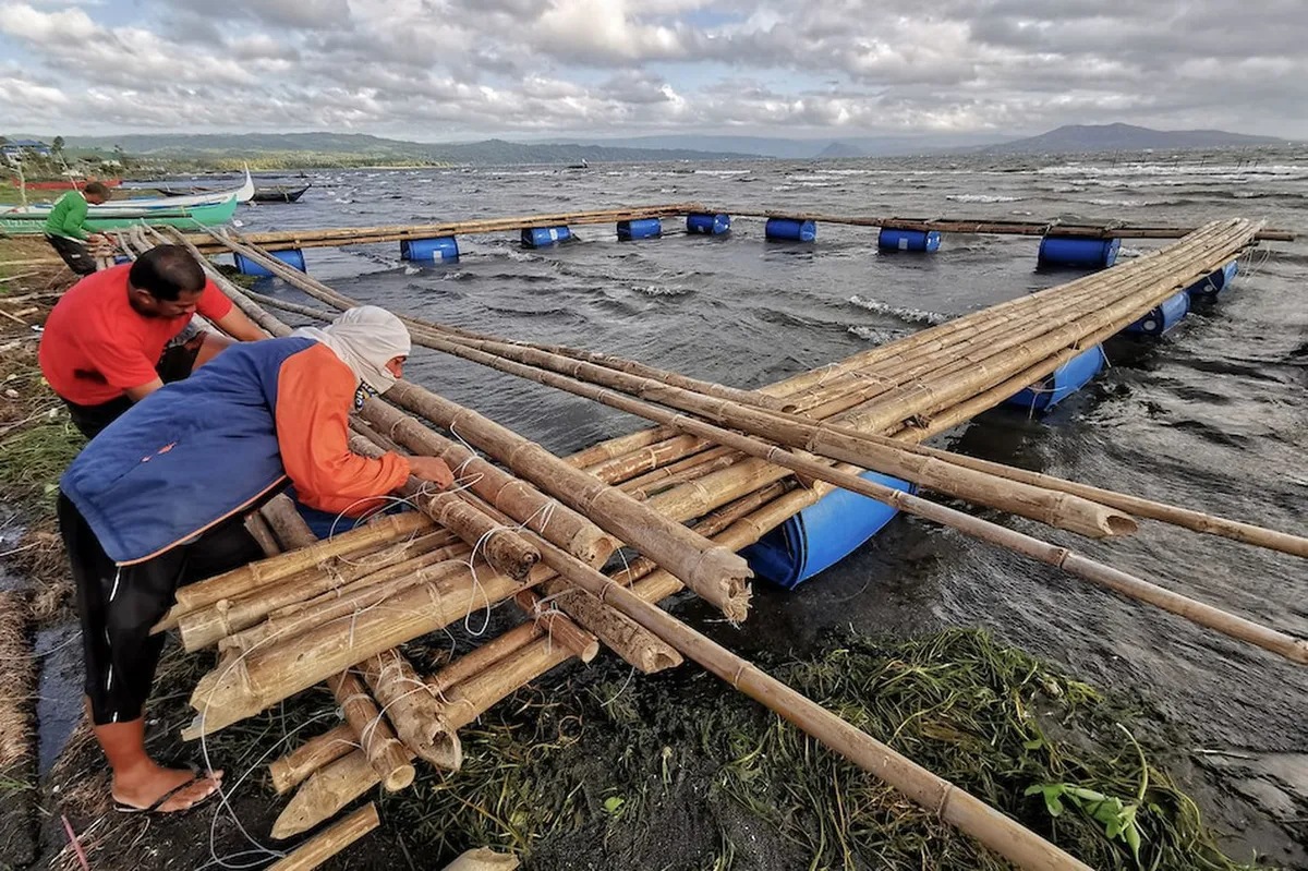 Mga mangingisda sa Taal Lake pinayuhang hanguin na ang mga isda | ABS ...