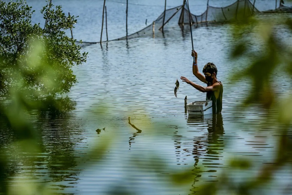 Teach a man how to fish | ABS-CBN Lifestyle