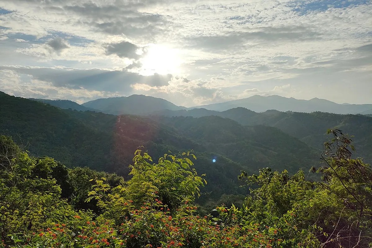 Mount Purro Nature Reserve offers quick nature fix near Metro Manila ...