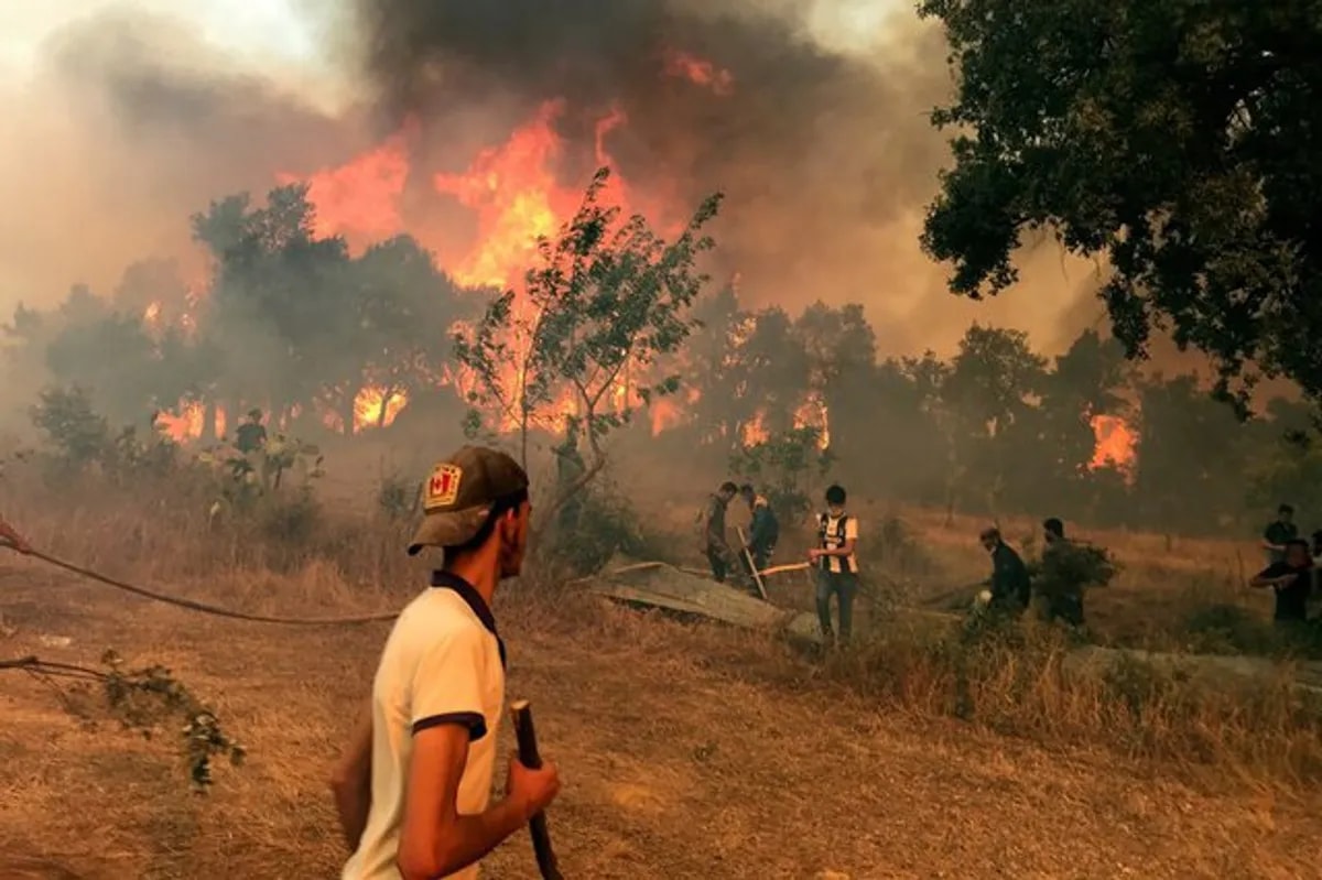Heartbroken and homeless: Algerian villagers grapple with wildfire ...