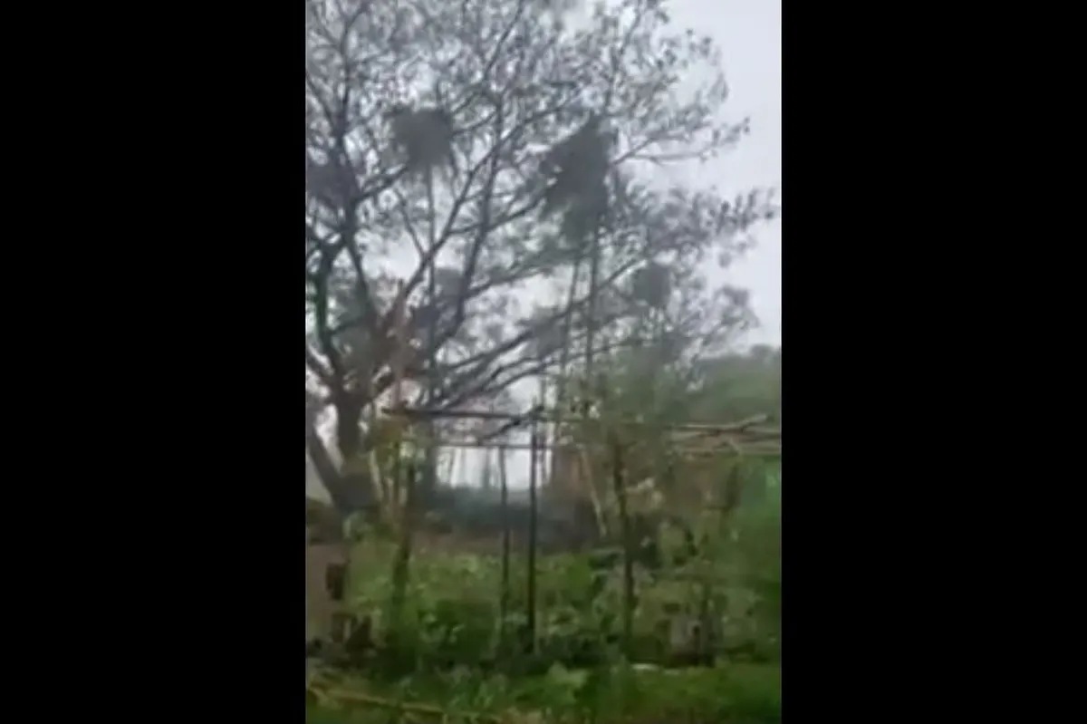 WATCH: Super Typhoon Rolly lashes Bicol region, million residents flee ...