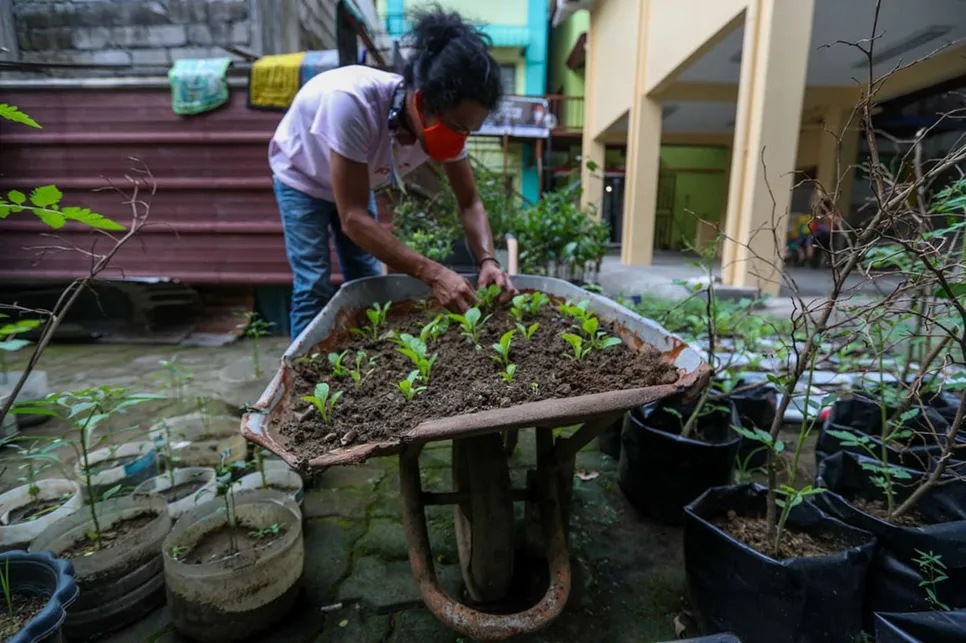 Planting for food security | ABS-CBN News