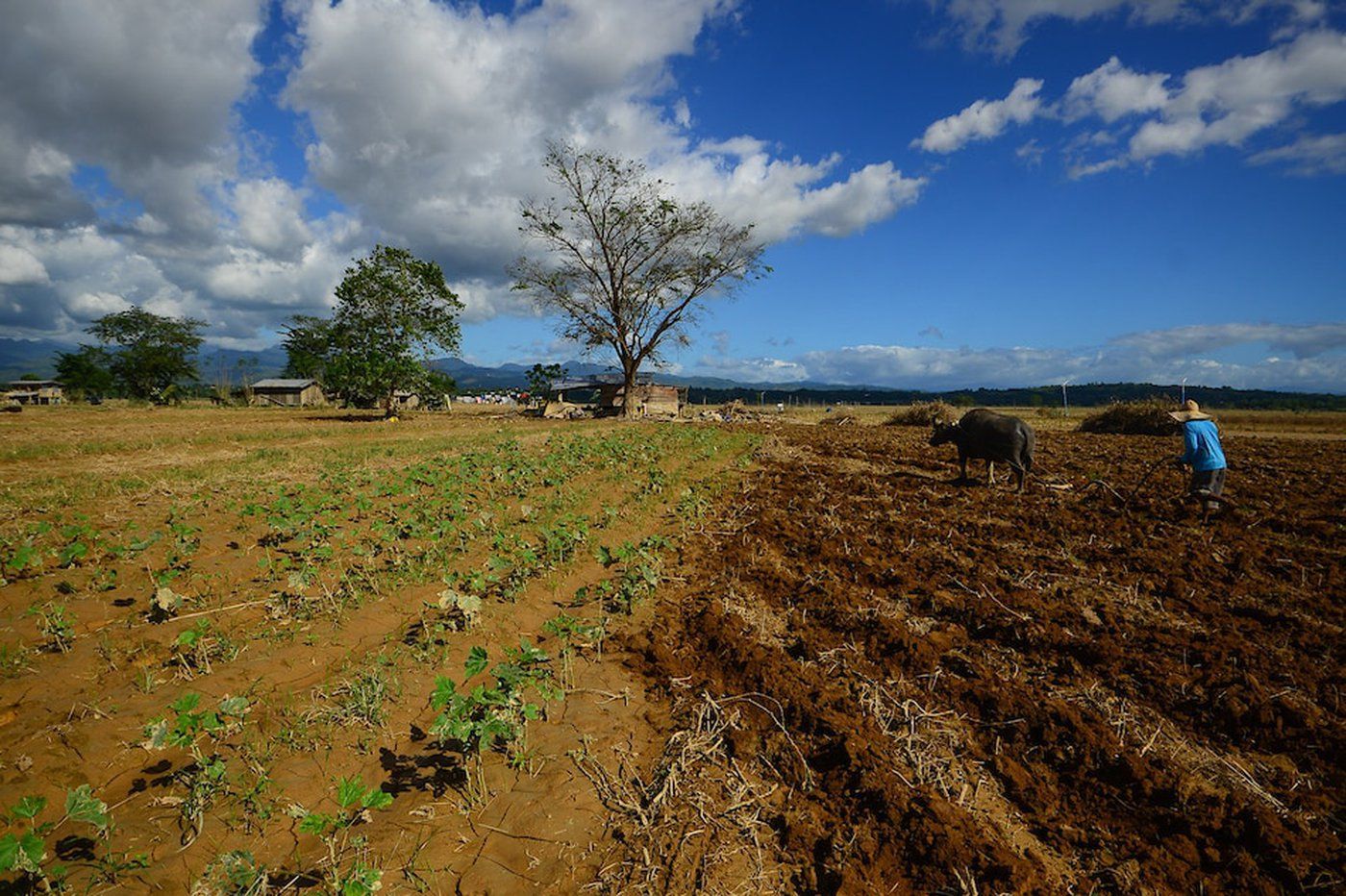 Mga magsasaka, mangingisda 'pinakadukha', ayon sa mga eksperto | ABS-CBN News