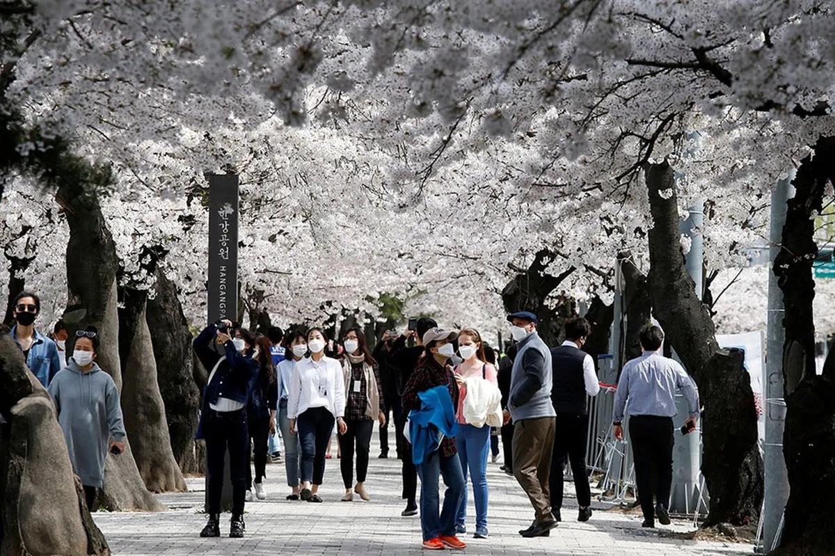 S. Korea widens public access to virus self-test kits amid surge | ABS-CBN