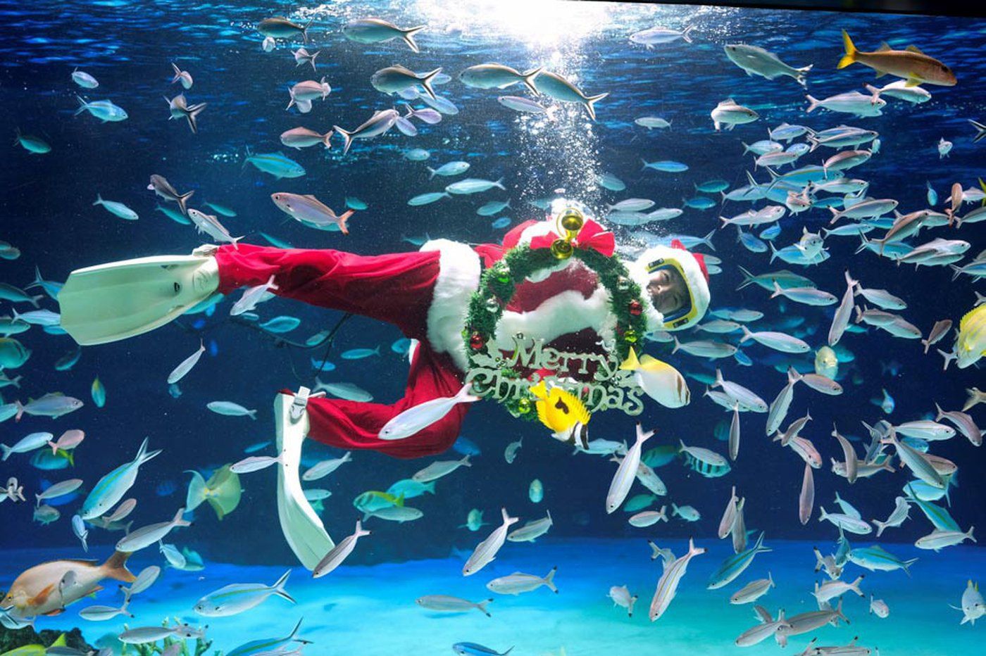 Swimming Santa | ABS-CBN Lifestyle