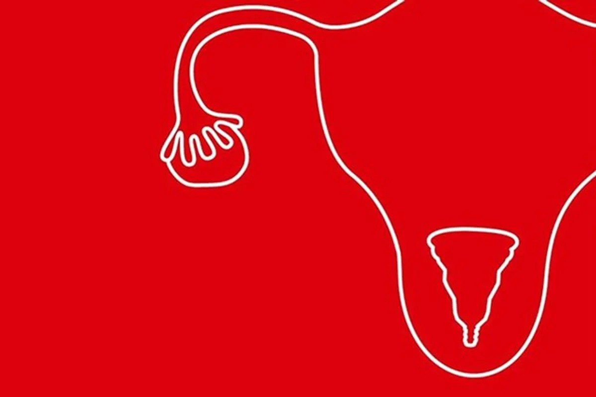 Pantone’s newest color is a nod to menstruation: Period red | ABS-CBN ...