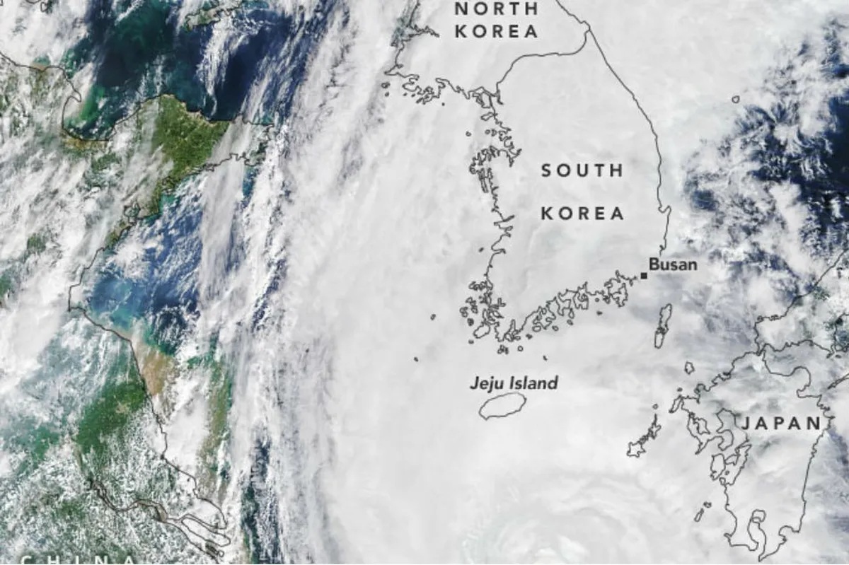 Typhoon Maysak drenches North and South Korea | ABS-CBN