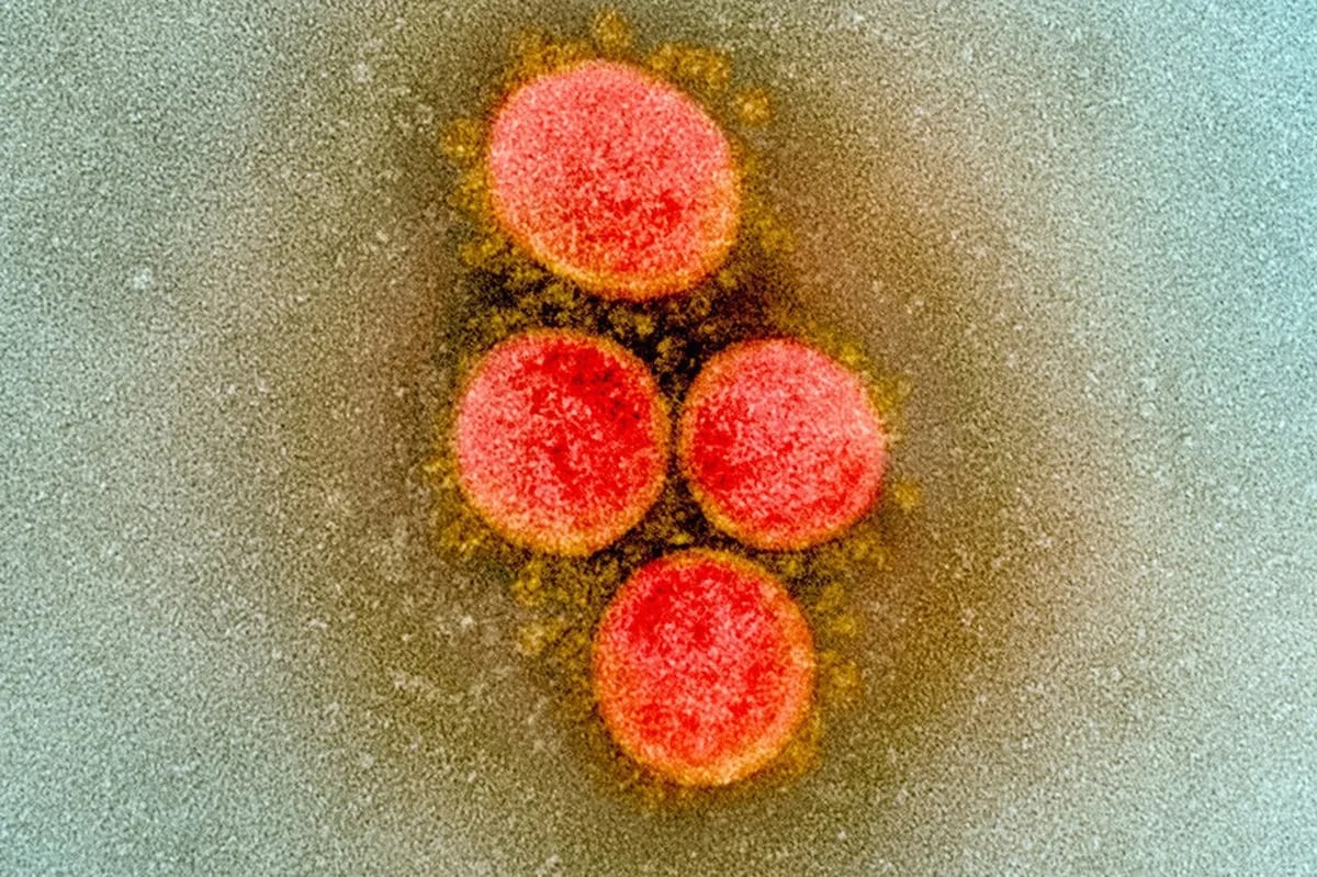 COVID-19 strain in Beijing outbreak may have come from SE Asia ...