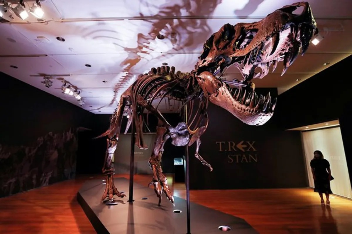T-Rex fossil sells for record-breaking $31.8 million | ABS-CBN