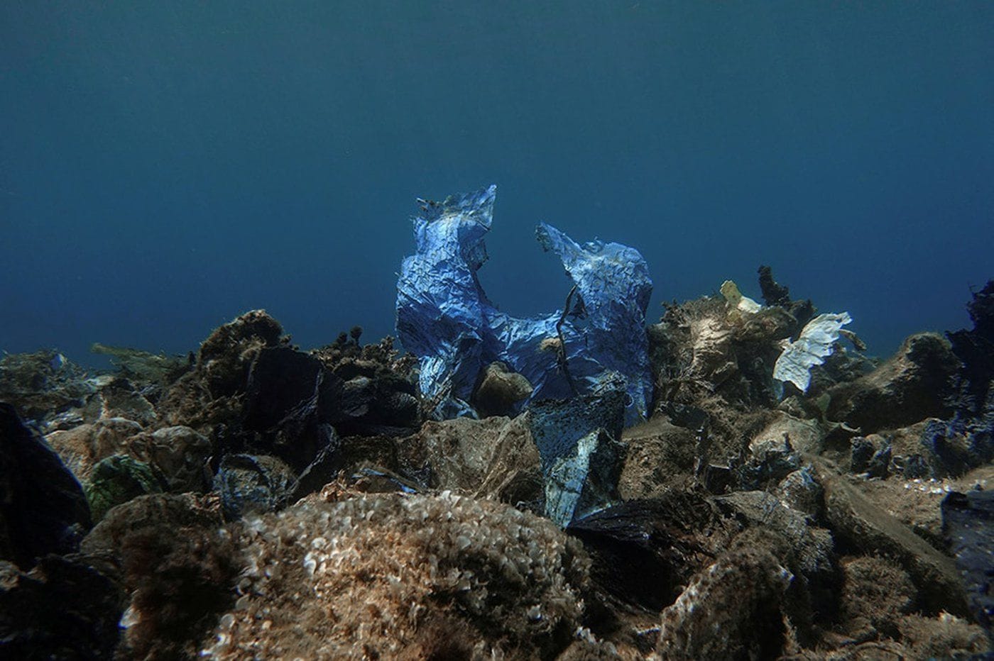 14 million tons of microplastics on sea floor: Australian study | ABS-CBN