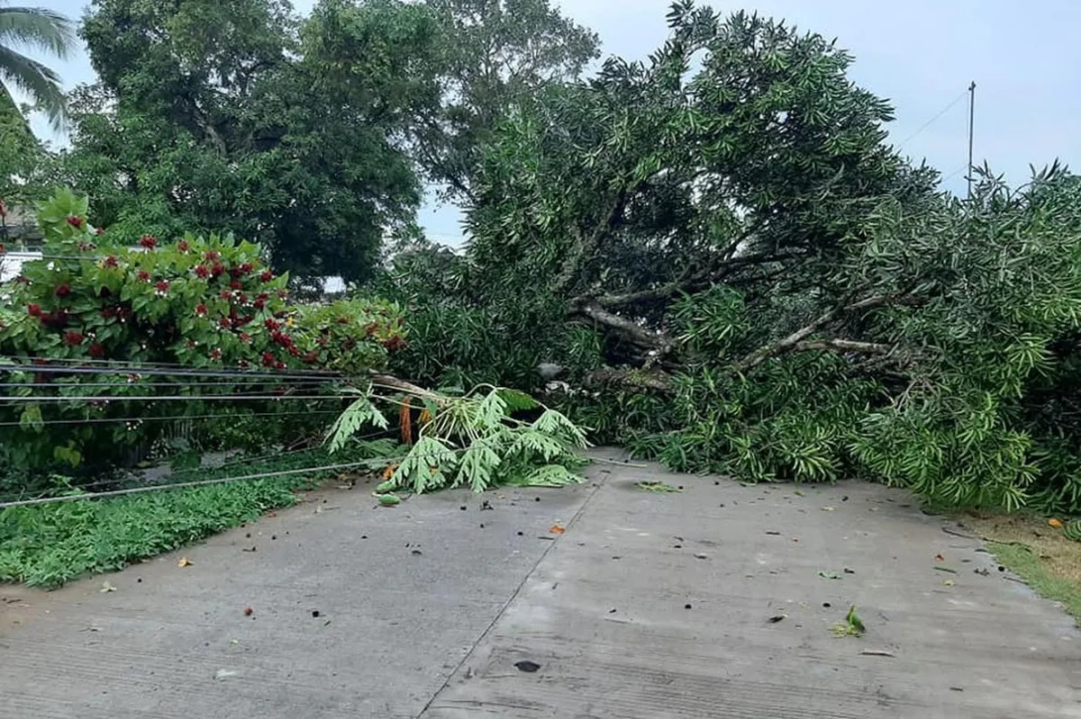 9 na bahay nasira, mga puno nabuwag sa pagbayo ng malakas na hangin sa ...
