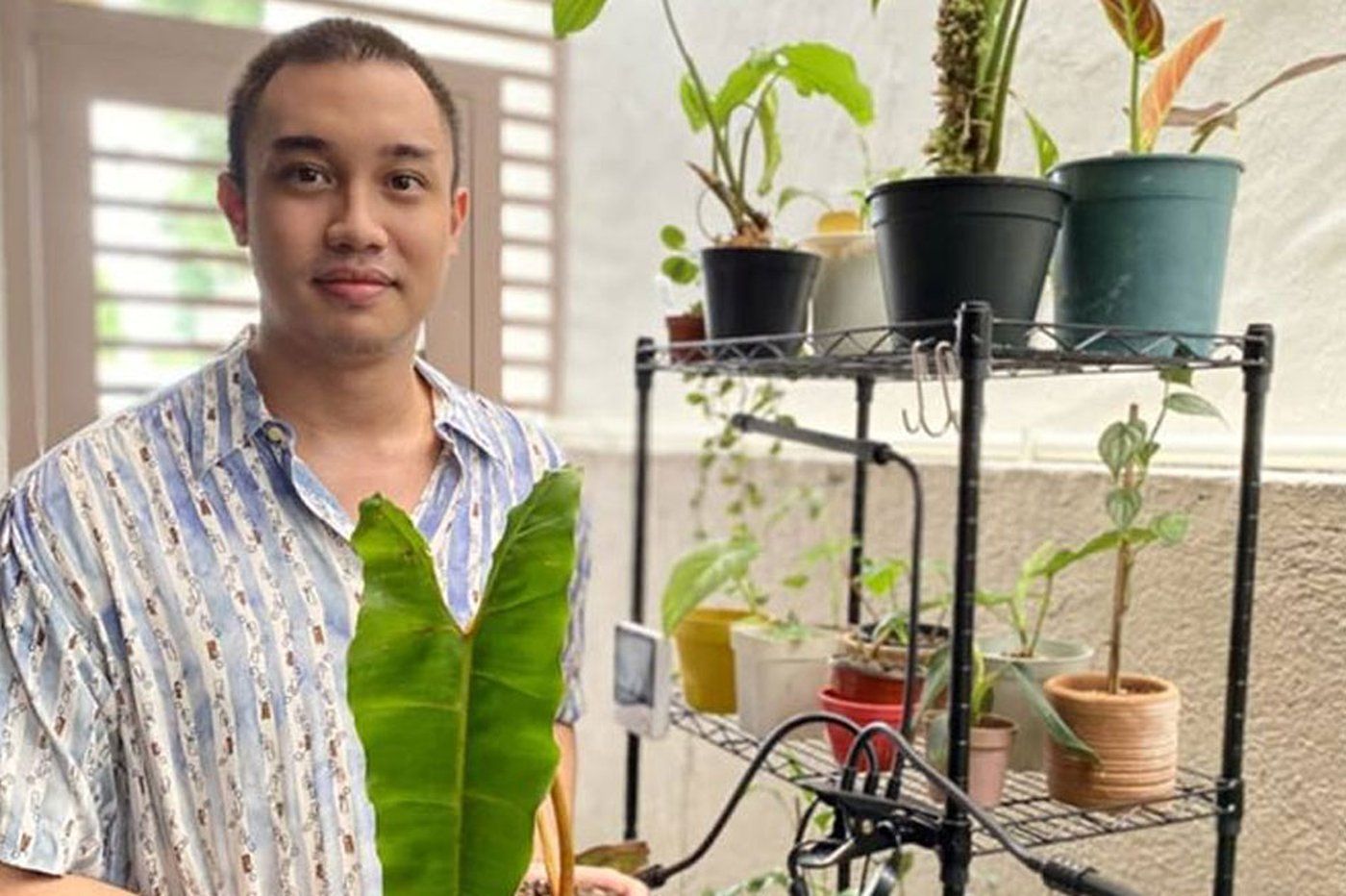 'Plantito, Plantita': Filipinos turn to plants to cope with coronavirus ...