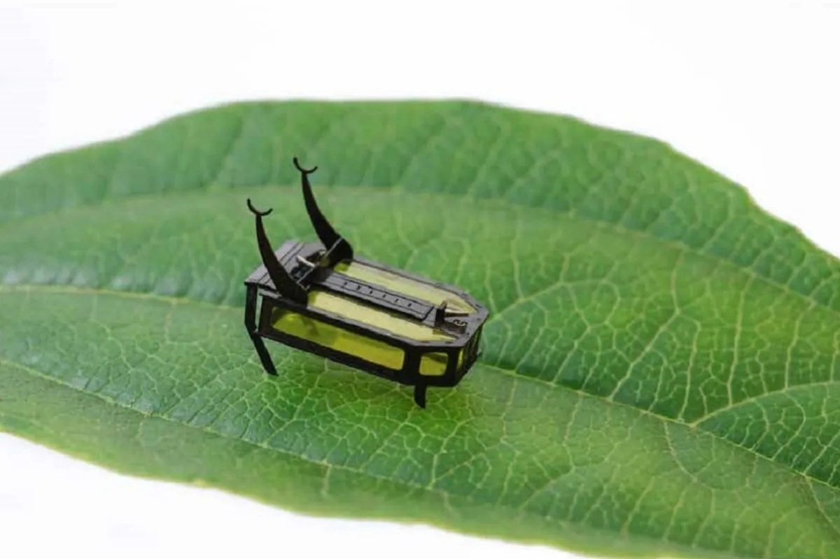 Beyond batteries: Scientists build methanol-powered beetle bot | ABS-CBN