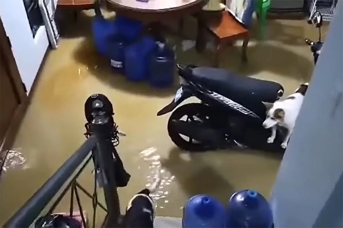 WATCH: Situation in Bicol region as typhoon Quinta shows wrath | ABS ...