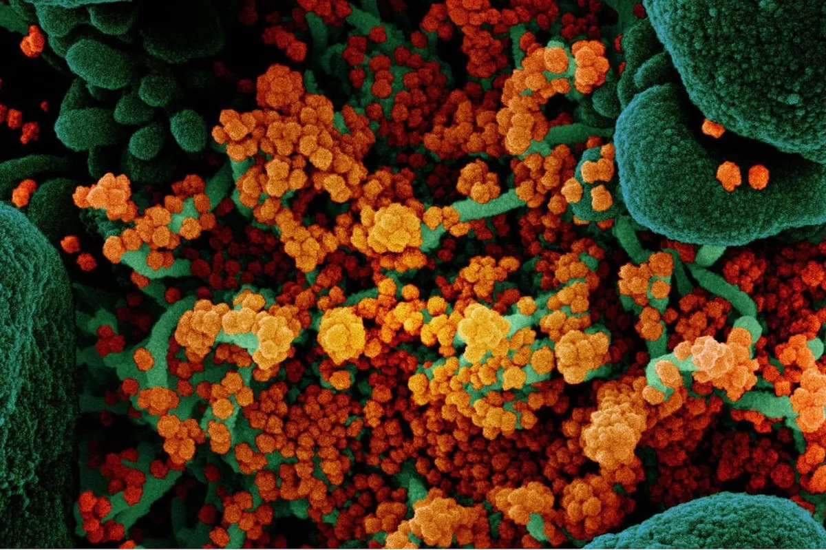 The coronavirus could dodge some treatments, study suggests | ABS-CBN