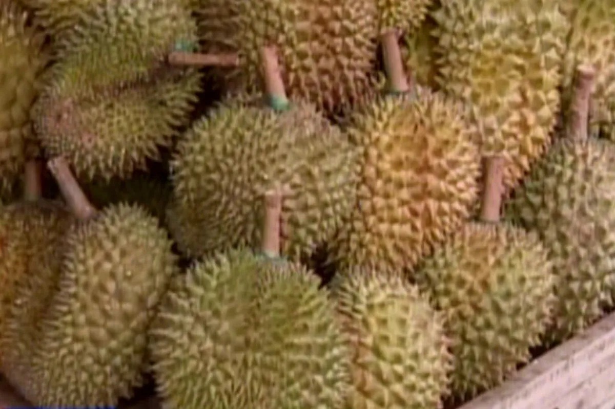 Spike in demand: stinky durians enjoy online virus boom | ABS-CBN News