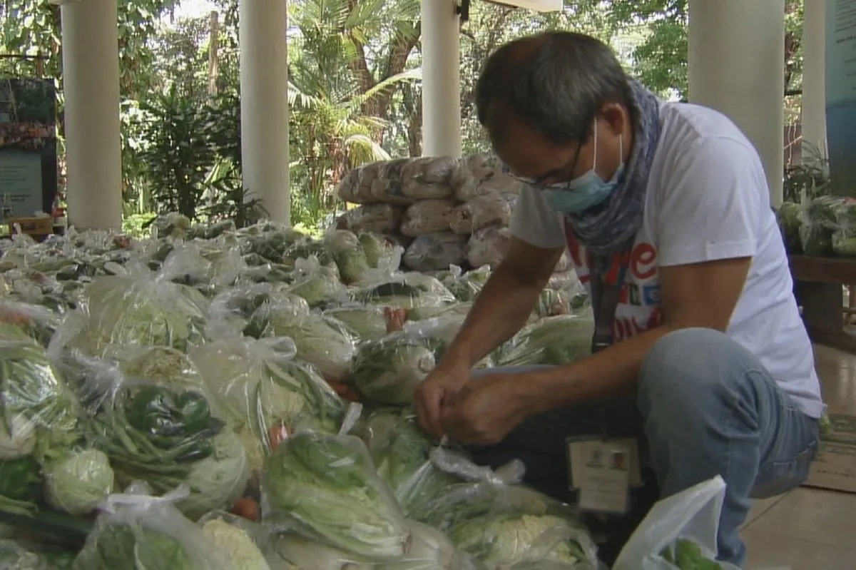 'Pantawid ng Pag-ibig': Mga gulay mula Benguet inangkat para maibenta sa Metro Manila | ABS-CBN News