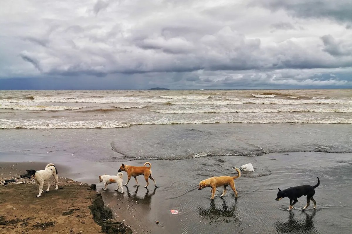 'Butchoy' intensifies into tropical storm as it exits PAR | ABS-CBN News