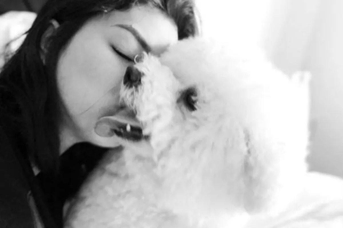 ‘Love you always’: Angel Locsin mourns death of pet dog | ABS-CBN ...