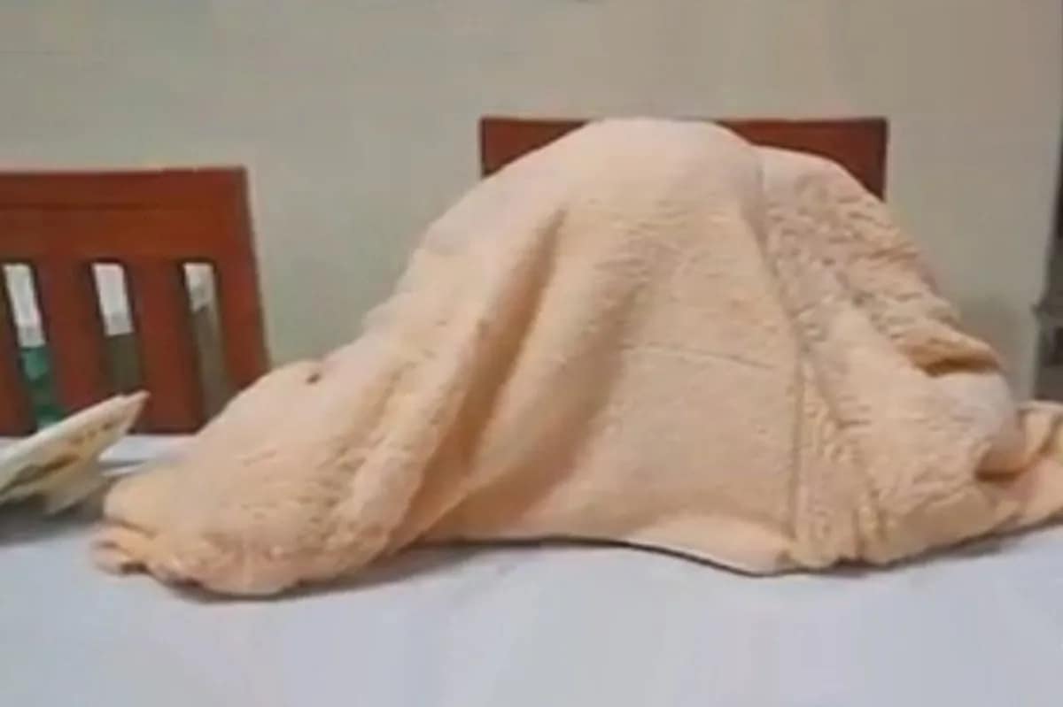 DOH: 'Tuob' does not cure, prevent COVID-19 | ABS-CBN News
