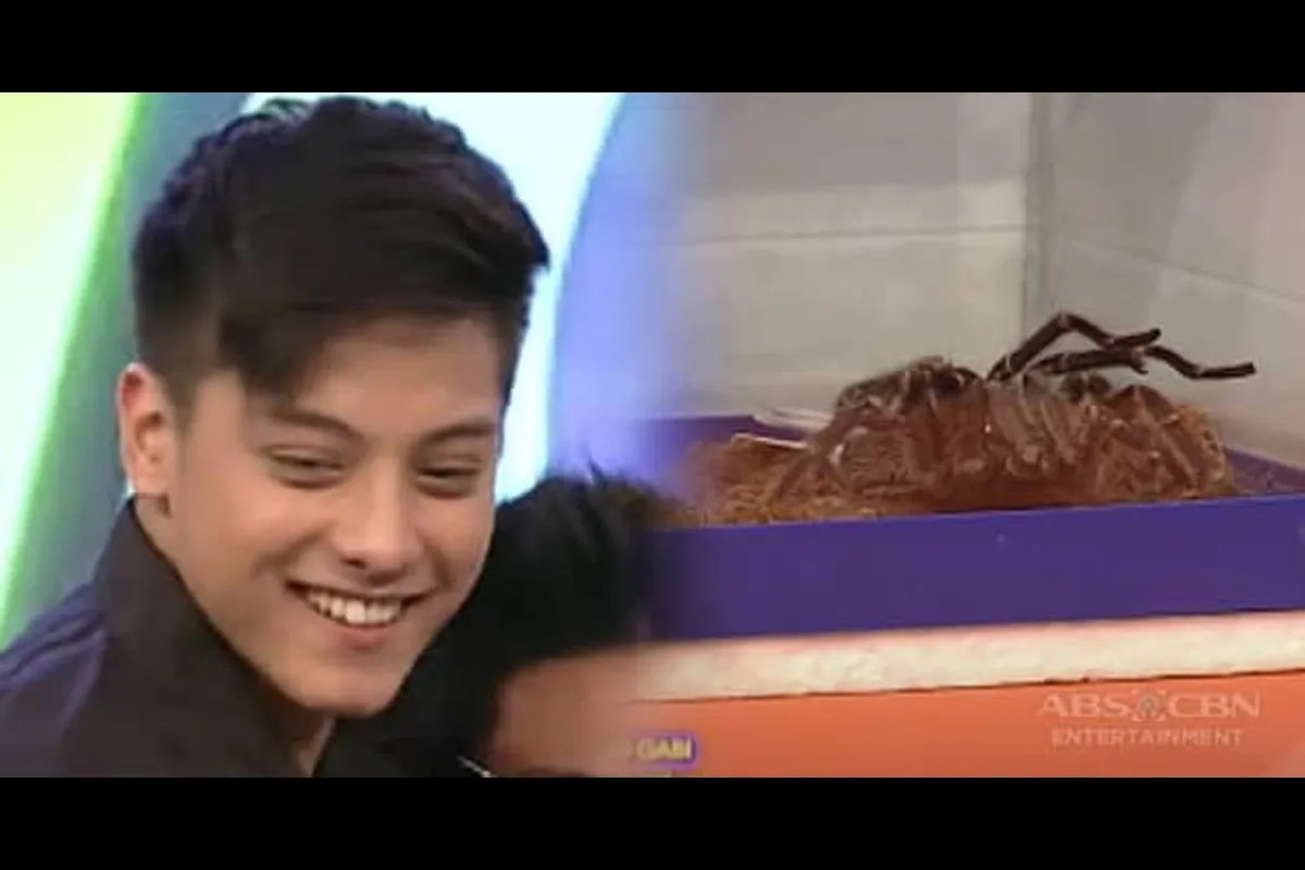 GGV Throwback: Daniel Padilla faces his fear of spiders on GGV | ABS ...