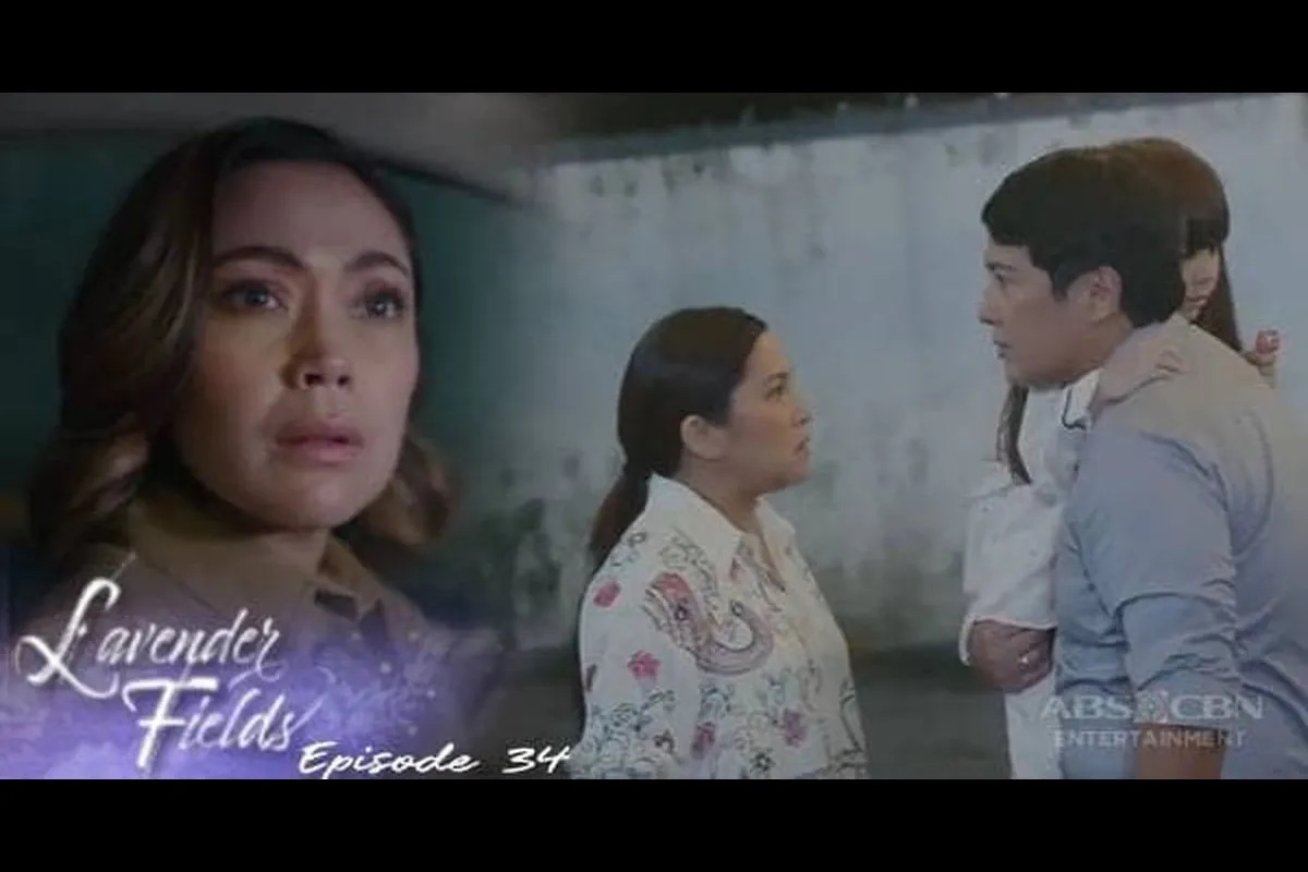 Lavender Fields: Lavender, naabutan ang pagtatalo nina Lily at Lance | Episode 34 | ABS-CBN ...