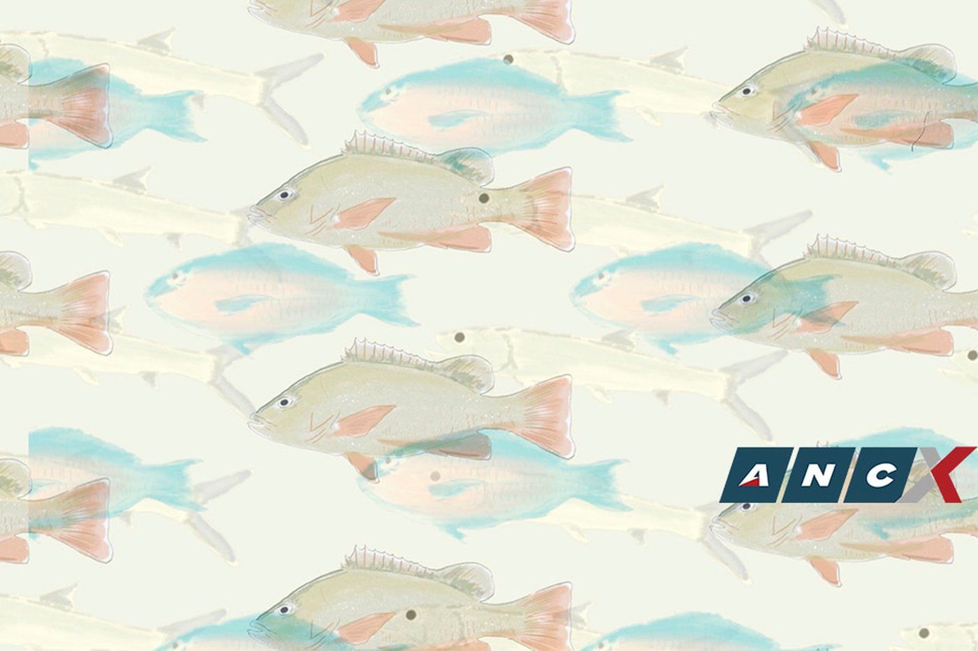 From maya-maya to hasa-hasa: Our local fish names and the Pinoy love ...