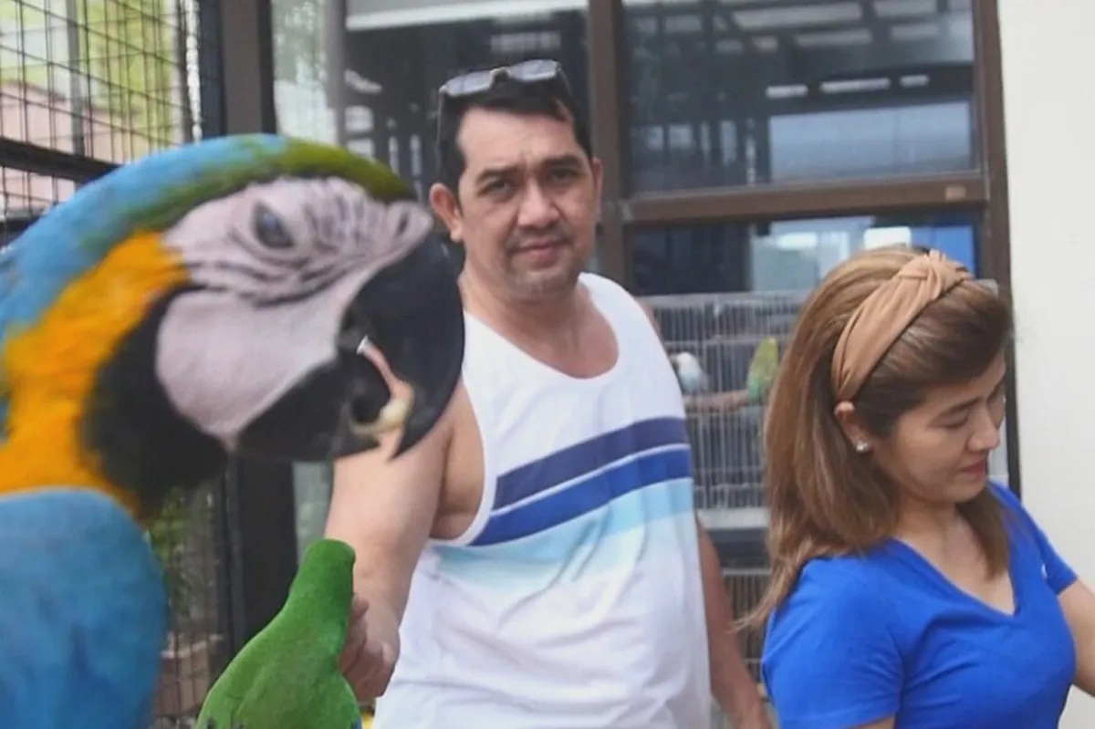Pamilya sa Pasig nag-aalaga ng higit 30 parrot | ABS-CBN Lifestyle
