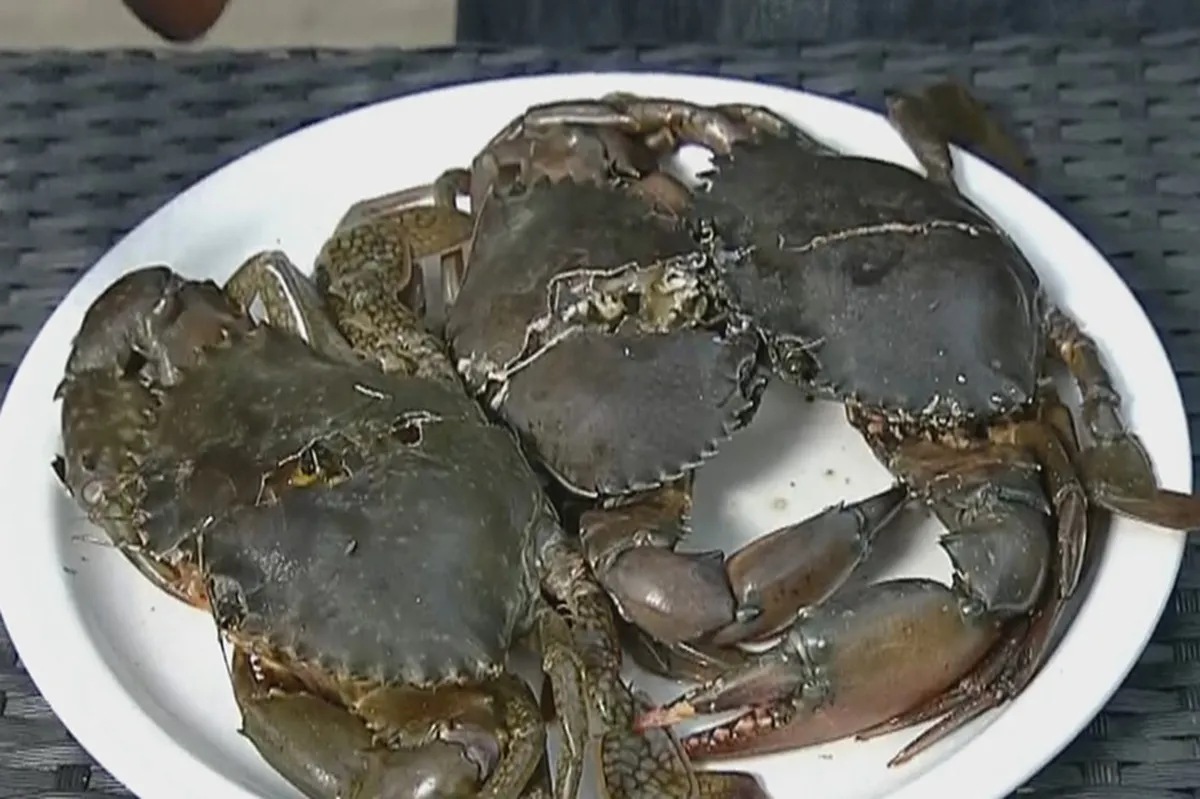 RECIPE: Inaligueng alimango | ABS-CBN Lifestyle