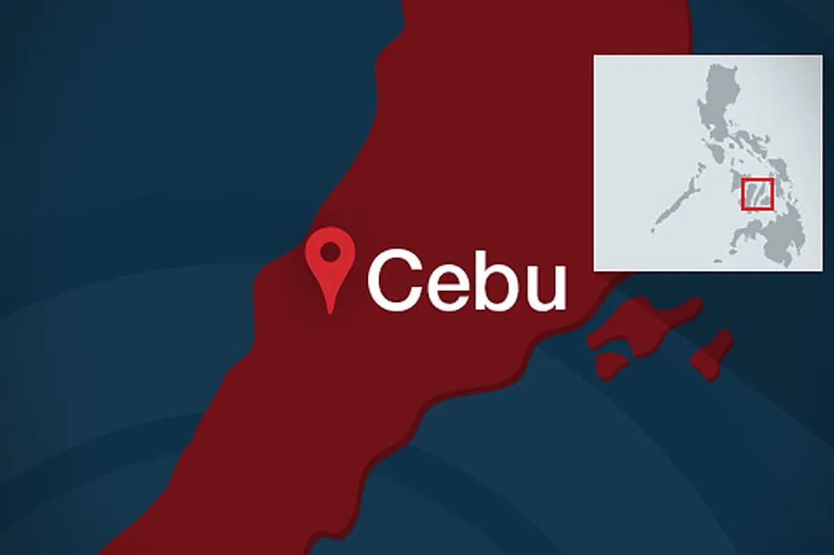 Ex-Cebu mayor fined P20,000 for unlawful limestone extraction | ABS-CBN ...