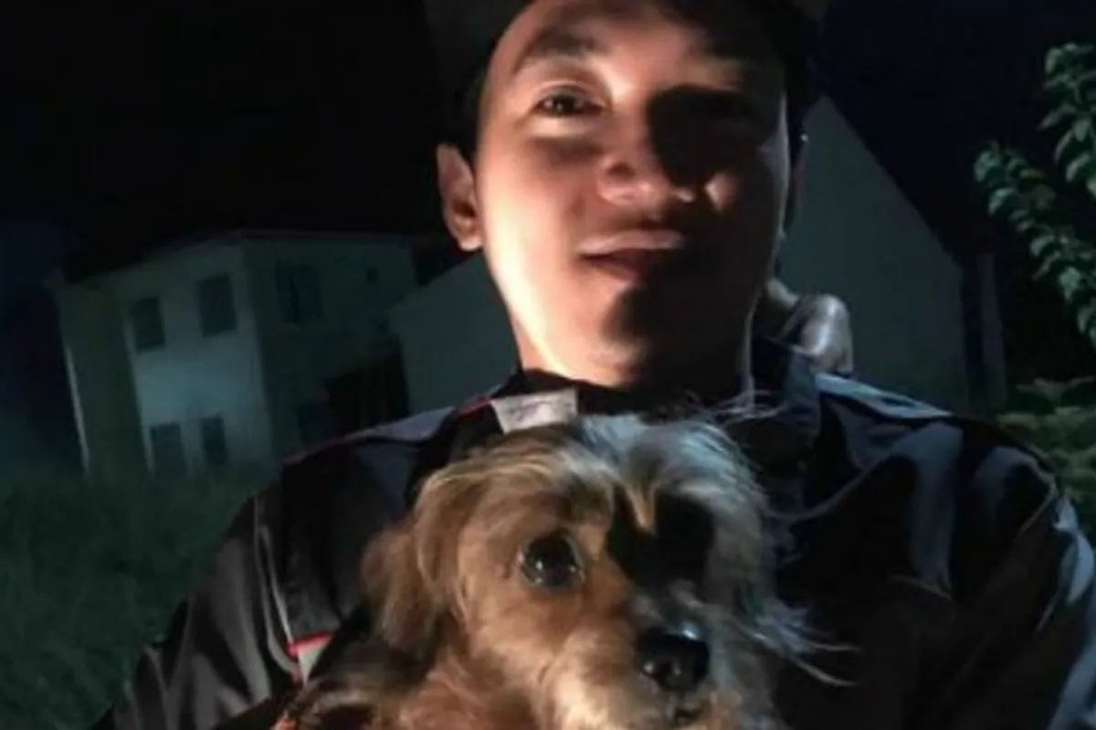 Animal lovers rescue pets left at home after Taal ashfall | ABS-CBN News