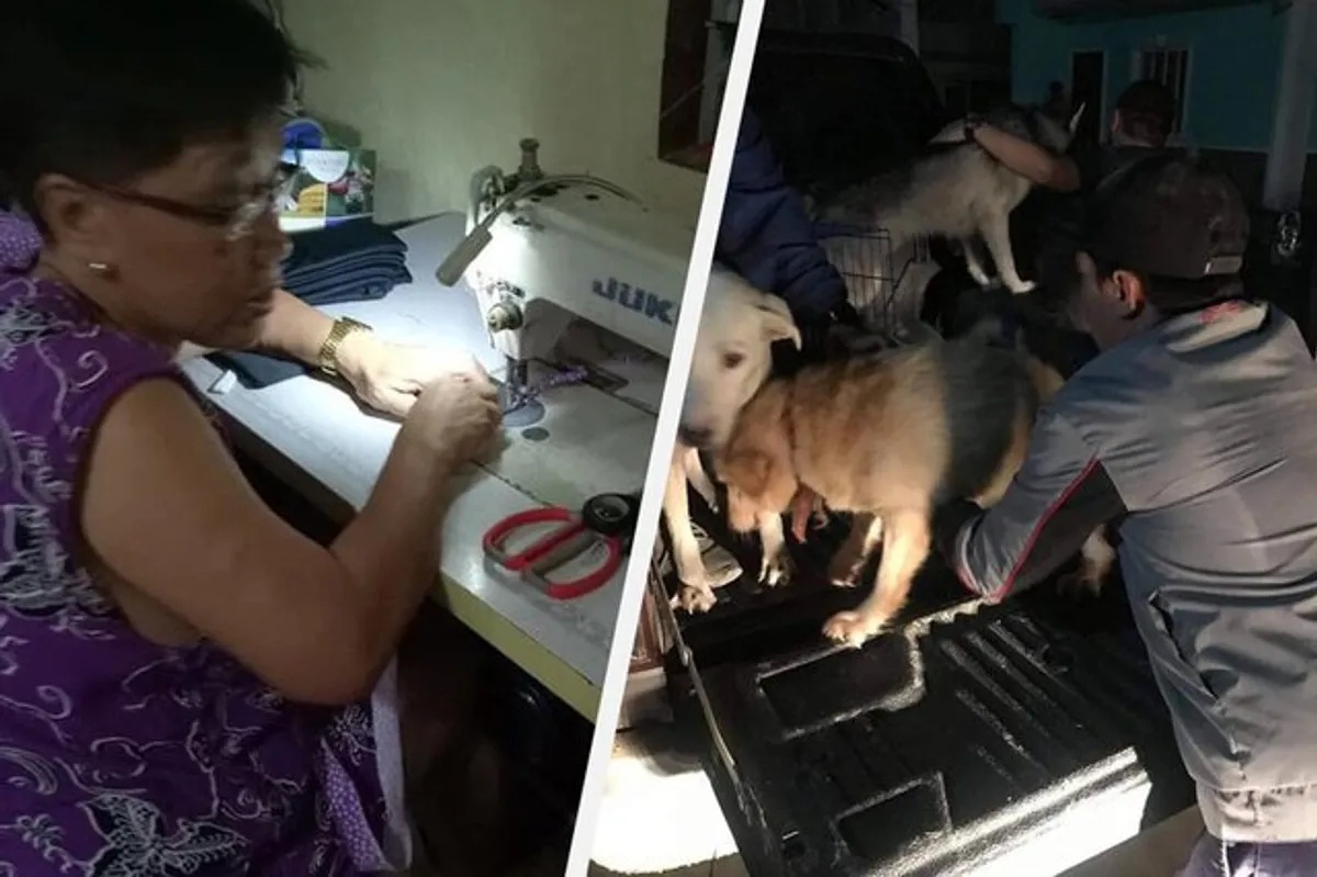 Bayanihan sa Taal eruption: Pagtatahi ng face masks, pagsagip sa mga ...