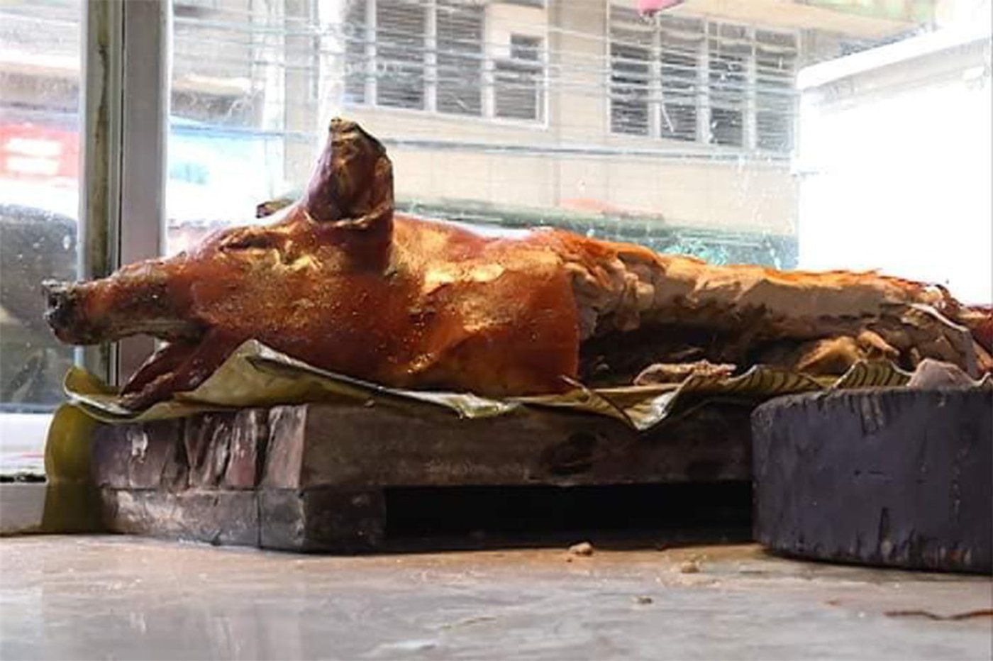 Banta ng ASF: Bentahan ng litson baboy sa Davao City matumal | ABS-CBN News