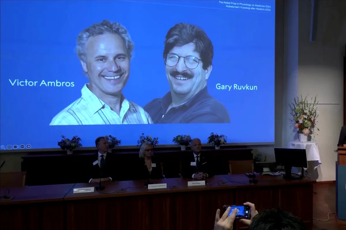 US duo win medicine Nobel for gene regulation discovery | ABS-CBN News