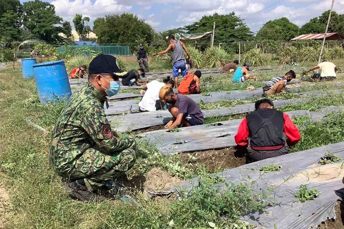Mga lumabag sa quarantine sa Pampanga, pinagtanim ng gulay | ABS-CBN News Mga lumabag sa quarantine sa Pampanga, pinagtanim ng gulay | ABS-CBN News